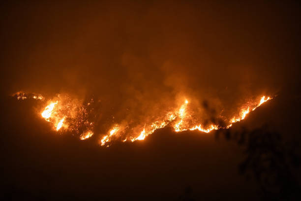 【今週のサンモニ】アクロバティックな「トランプ叩き」はやめましょう｜藤原かずえ (3/6) | Hanadaプラス