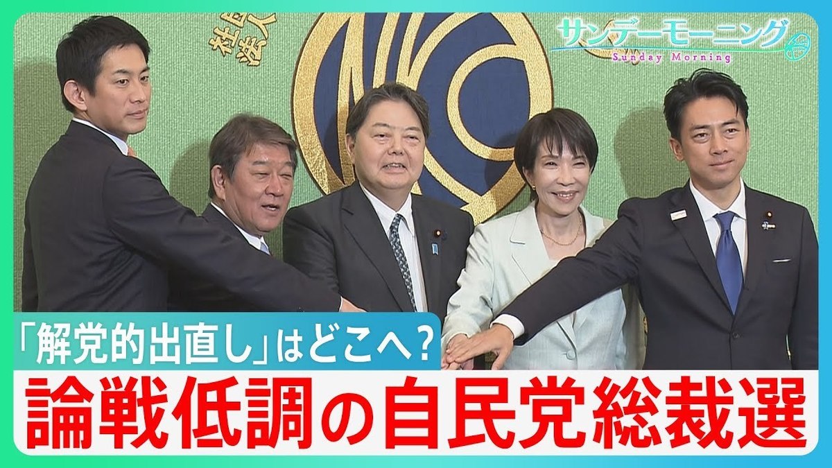 【今週のサンモニ】ステマまがいの偏向報道番組｜藤原かずえ (7/7) | Hanadaプラス