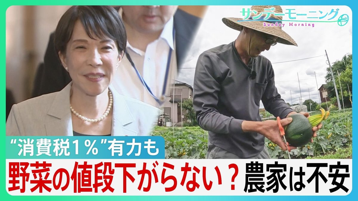【今週のサンモニ】的を射ている消費税減税批判｜藤原かずえ (5/6) | Hanadaプラス